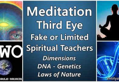 Ufology – Entity Art